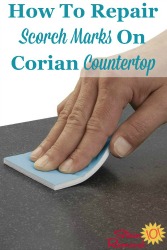 Stain Removal Blog: The Latest Tips & Guides For House Cleaning ...